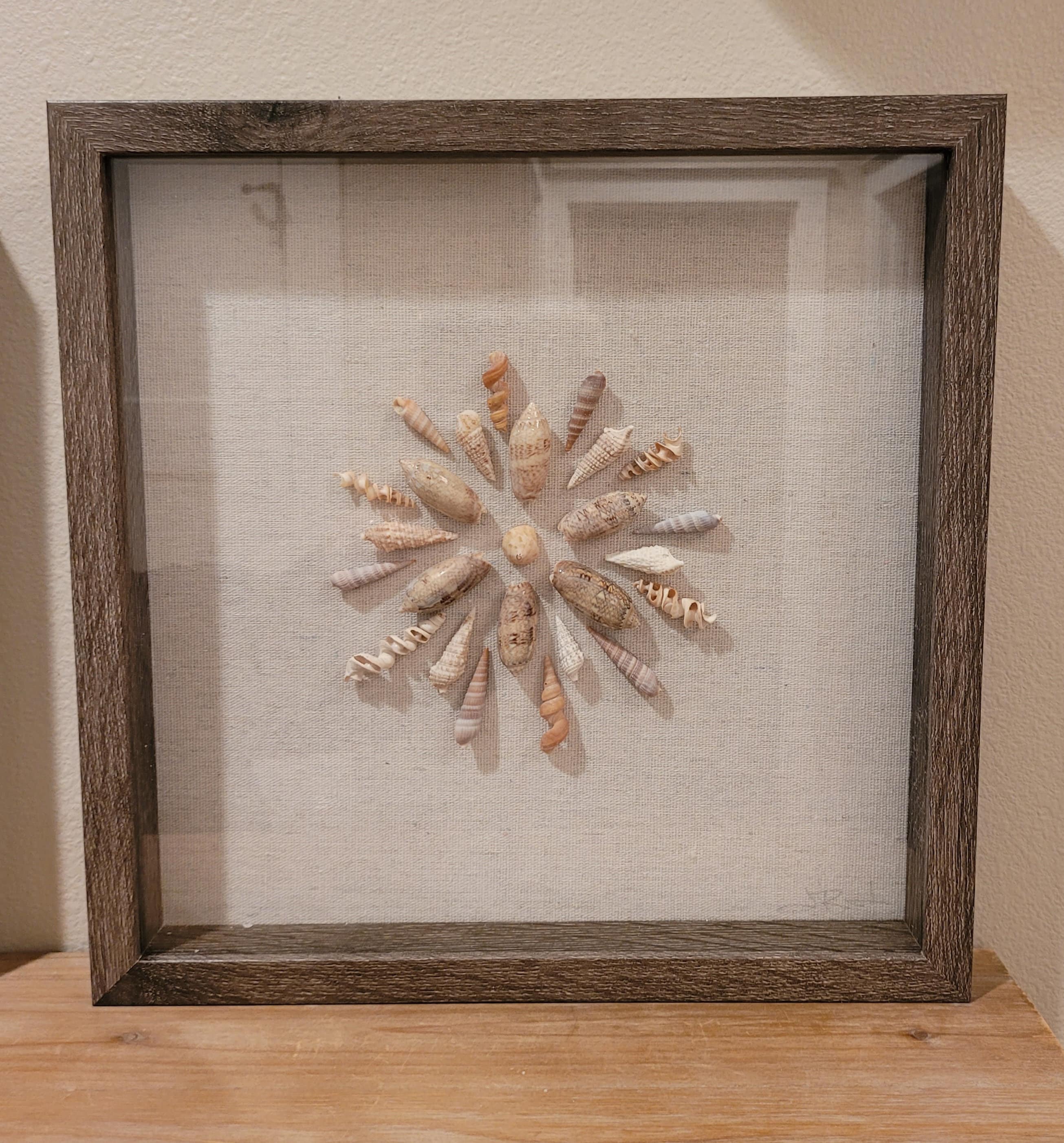 Handmade Shell Art - Starburst - Etsy