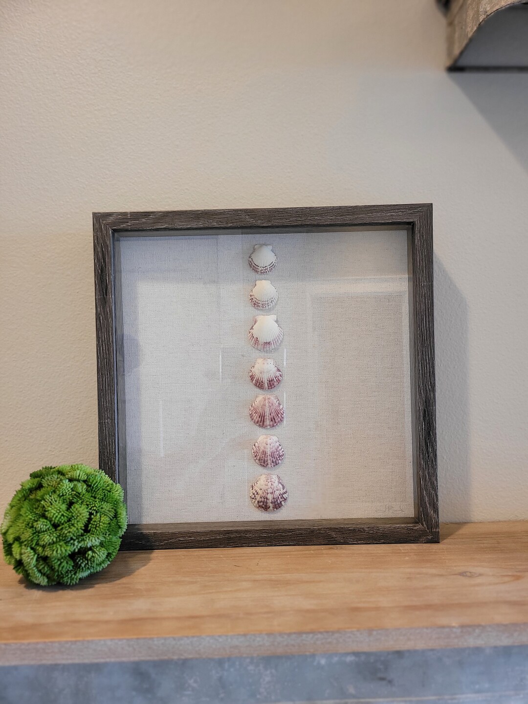 Handmade Shell Art - Calico Scallop Shells - Etsy