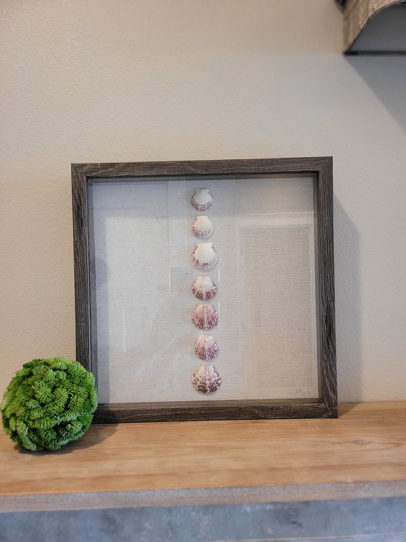 Handmade Shell Art - Calico Scallop Shells - Etsy