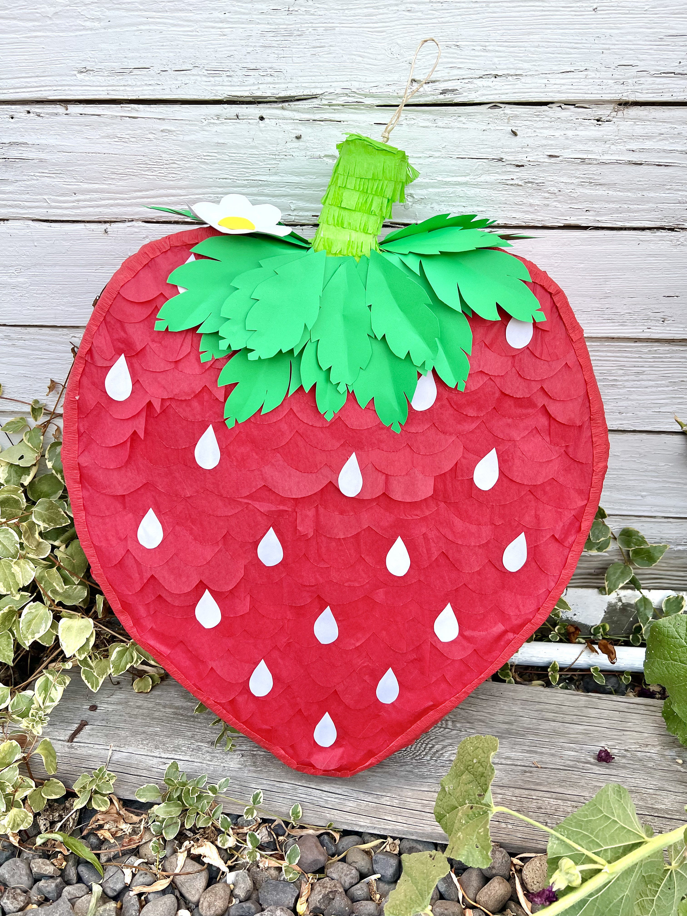 Strawberry Piñata Fruit Party Birthday - Etsy