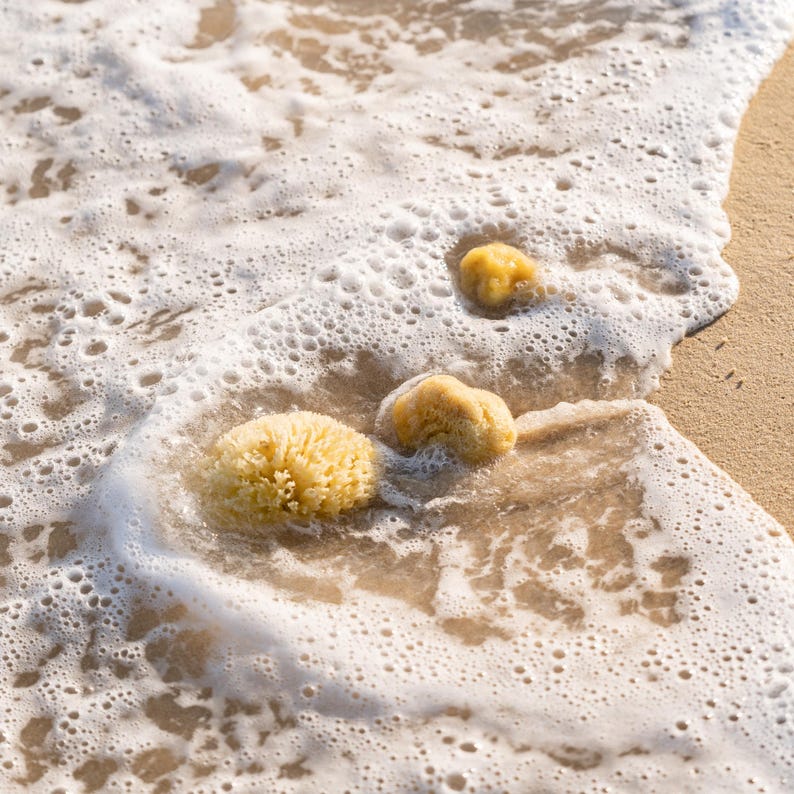 Natural Sea Sponge Set: Honeycomb & Silk - Gentle Baby Bath Sponges - Etsy