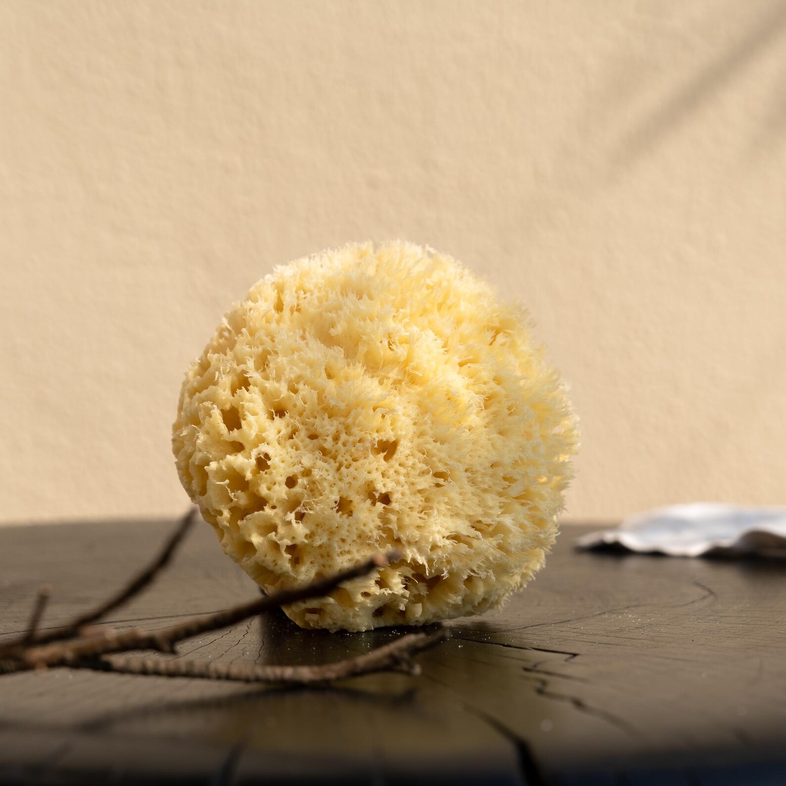 Natural Sea Sponge Set: Honeycomb & Silk - Gentle Baby Bath Sponges - Etsy