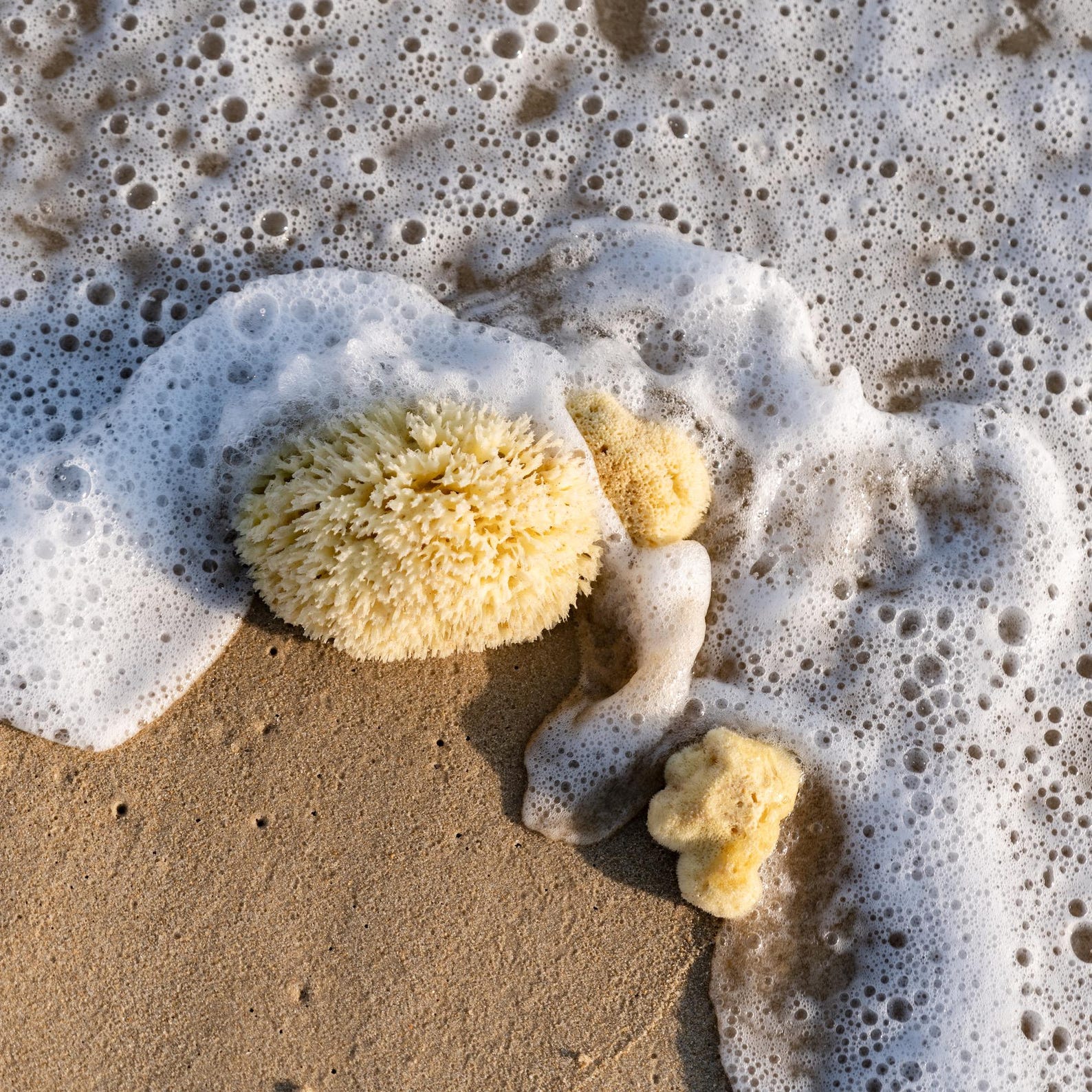 Natural Sea Sponge Set: Honeycomb & Silk - Gentle Baby Bath Sponges - Etsy