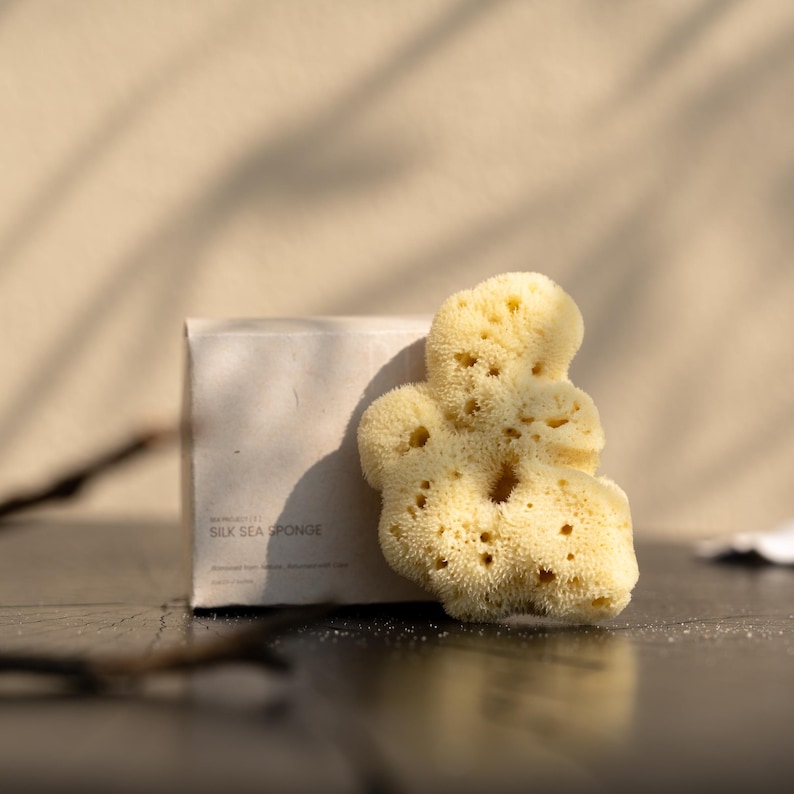 Natural Sea Sponge Set: Honeycomb & Silk - Gentle Baby Bath Sponges - Etsy