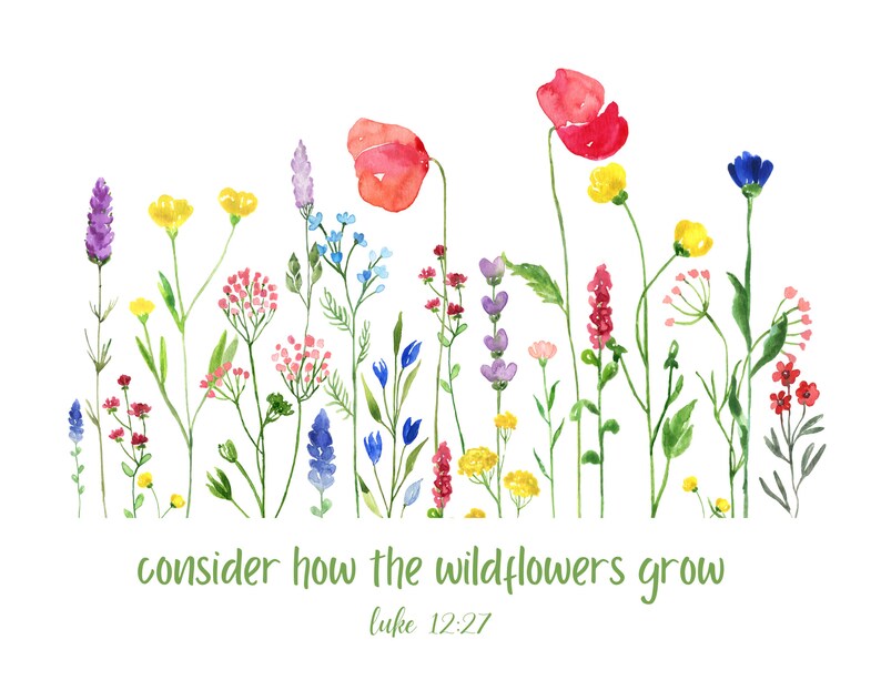 Scripture Print Consider How the Wildflowers Grow - Etsy