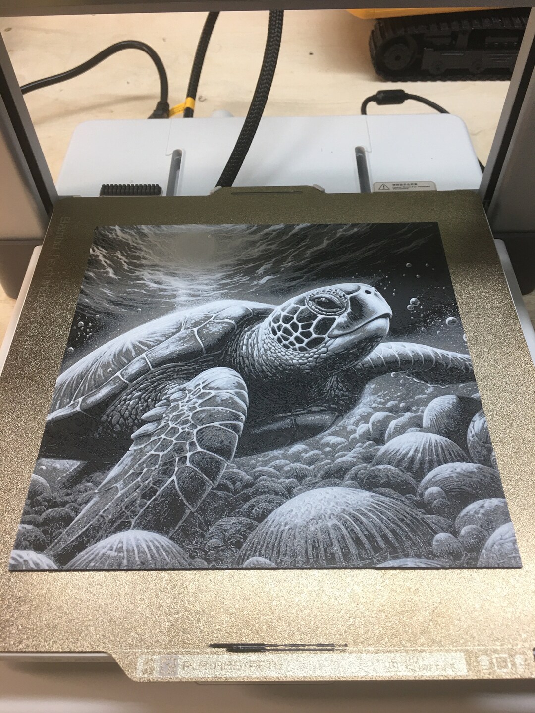 3D Printed Hueforge Turtle - Etsy