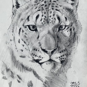 Snow Leopard Original Charcoal Drawing - Etsy