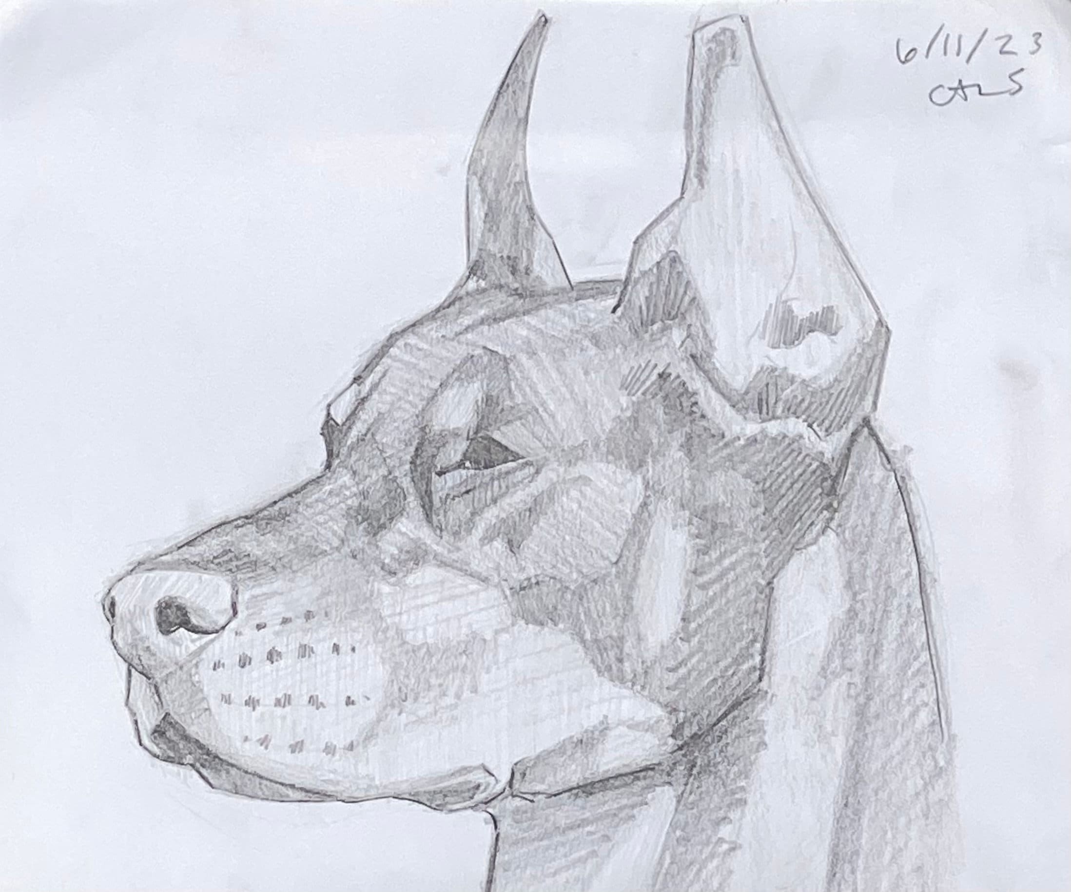 Doberman Dog Original Drawing - Etsy