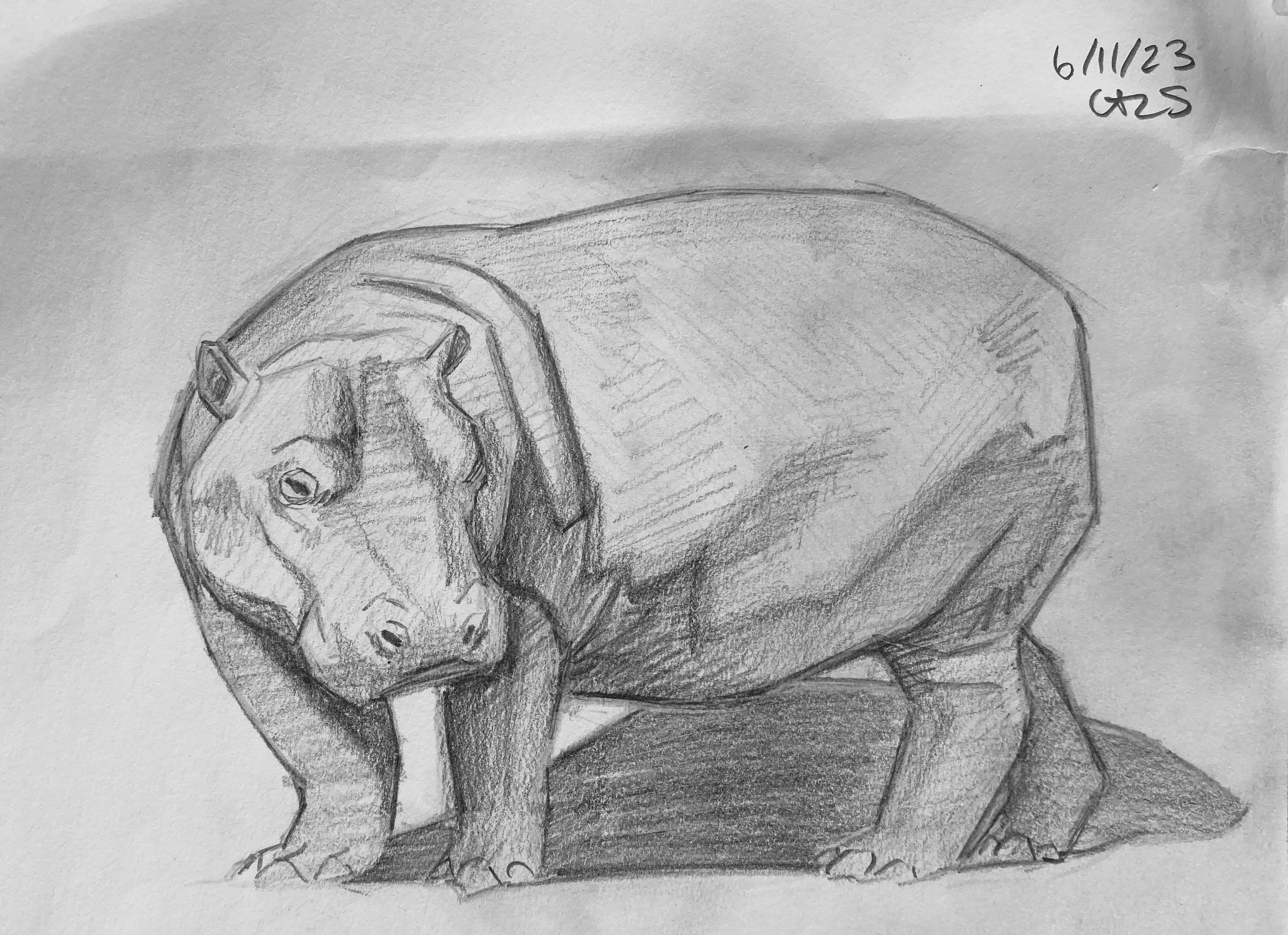 Hippopotamus Original Sketch - Etsy