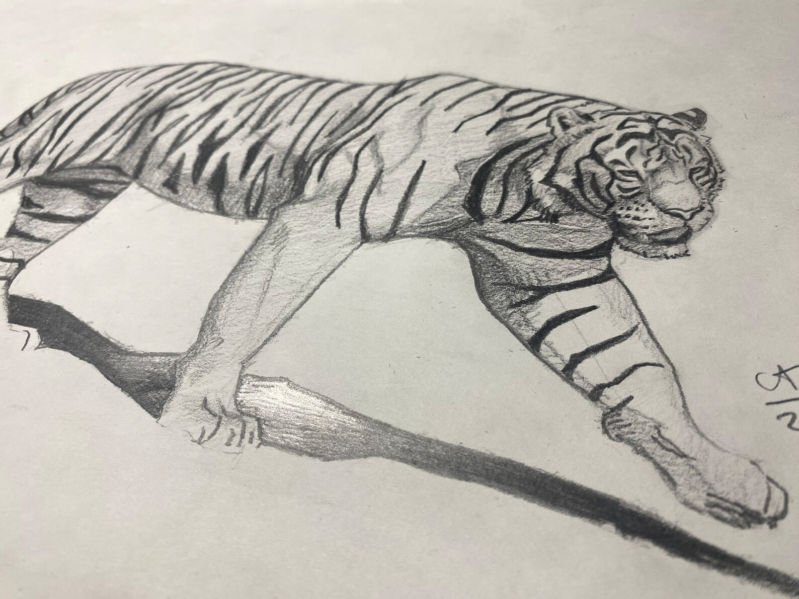 Tiger Original Drawing - Etsy