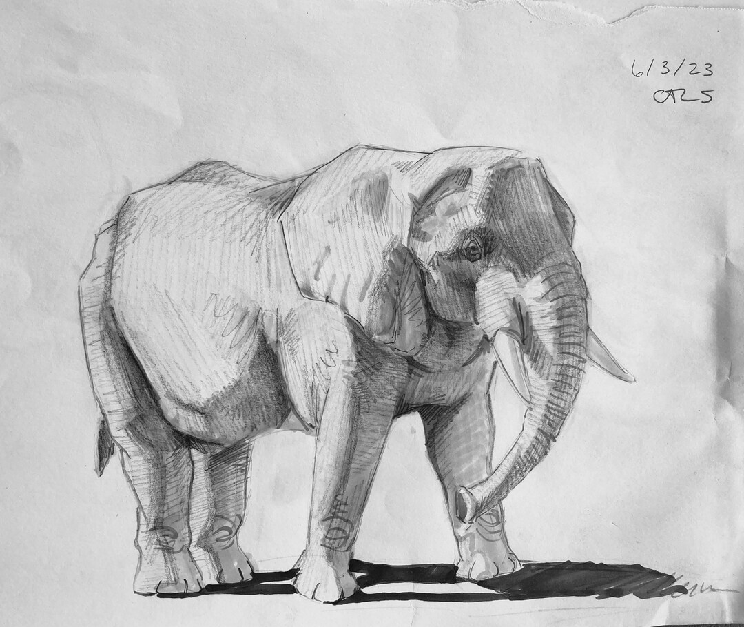 Elephant Original Drawing - Etsy