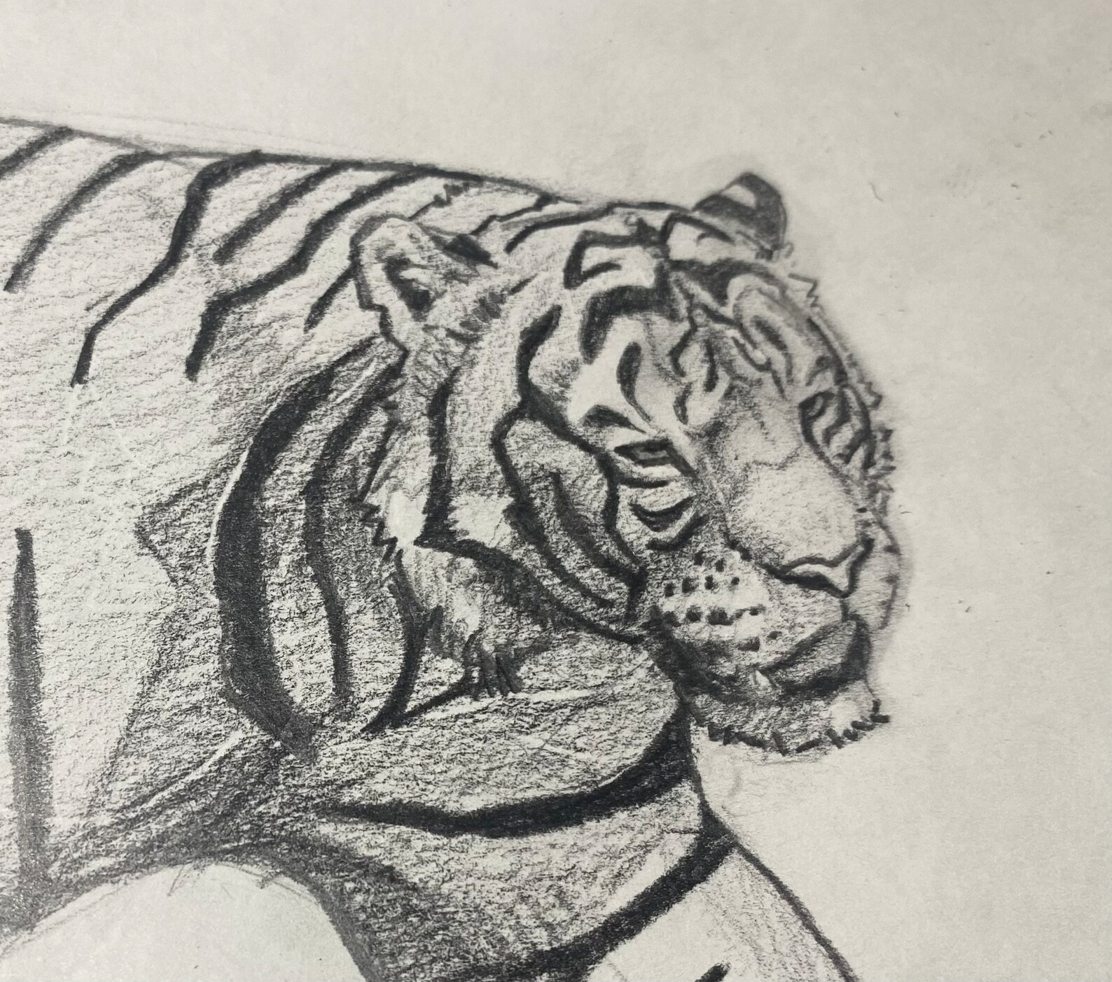 Tiger Original Drawing - Etsy