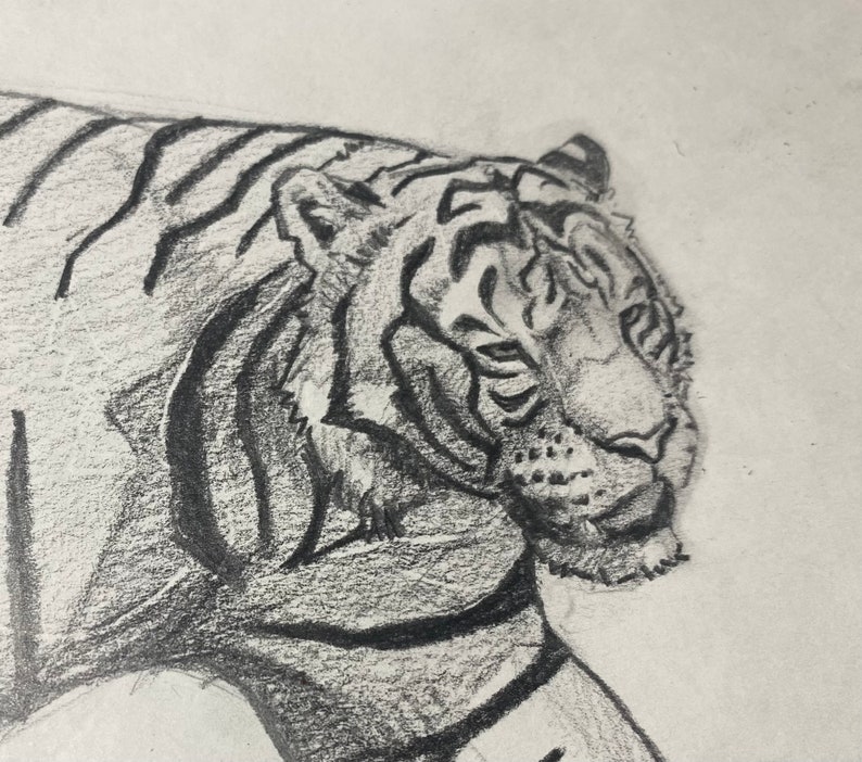 Tiger Original Drawing - Etsy