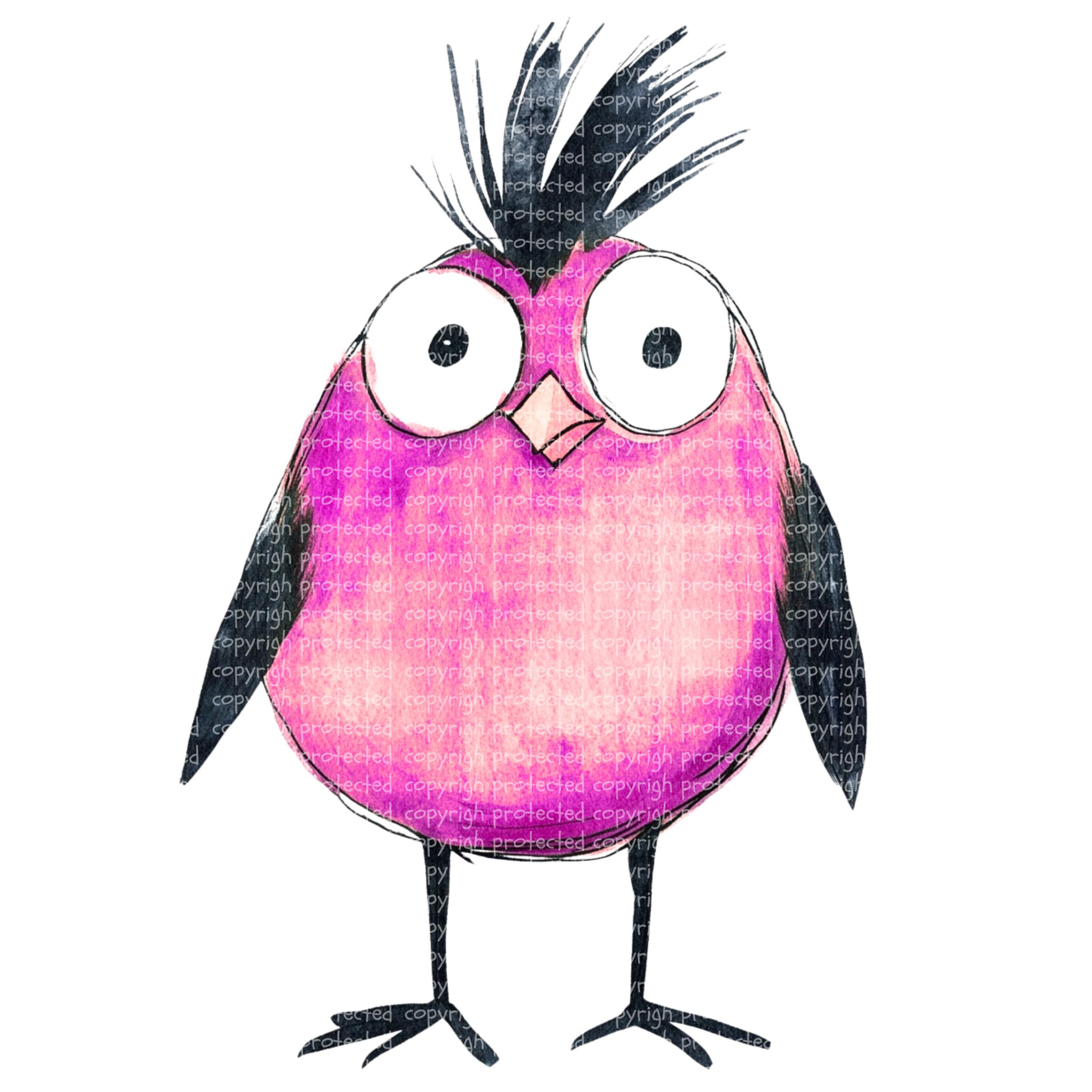 24 Whimsical Fat Birds Clipart –watercolor Cartoon Bird Pngs, Printable ...