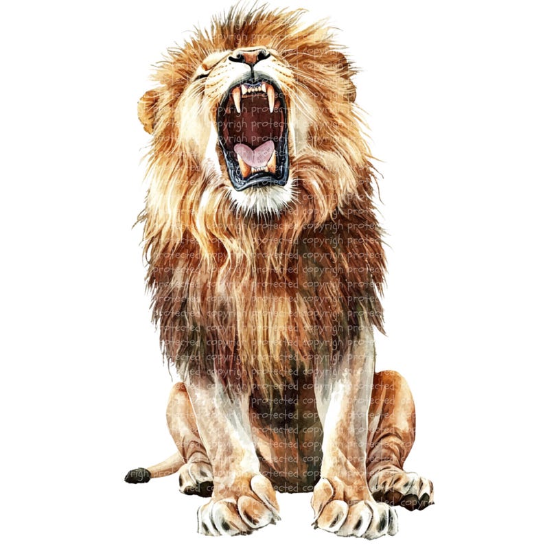 28 Lion Watercolor Clipart Set - Lion Illustrations Pngs, Safari Wild ...