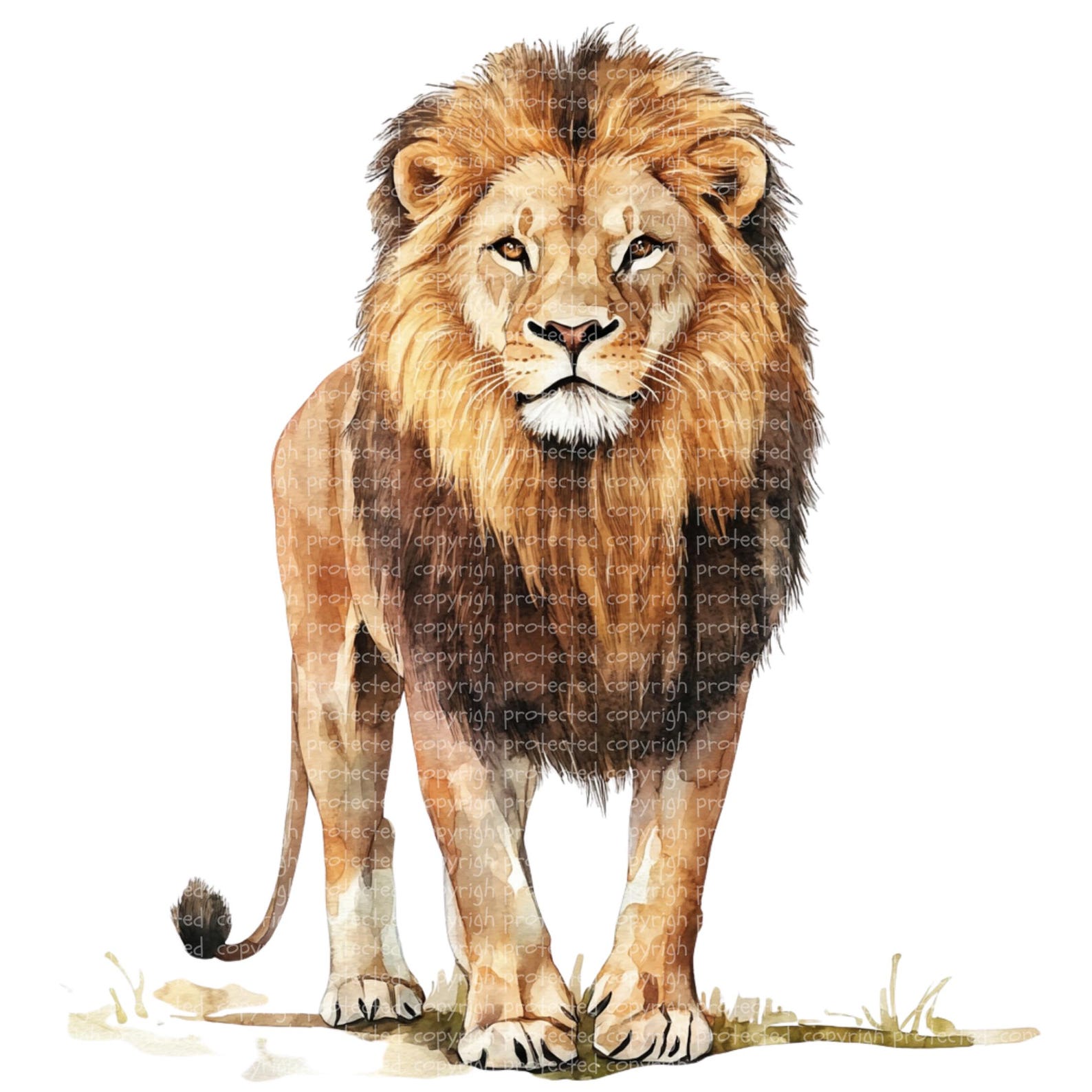 28 Lion Watercolor Clipart Set - Lion Illustrations Pngs, Safari Wild ...