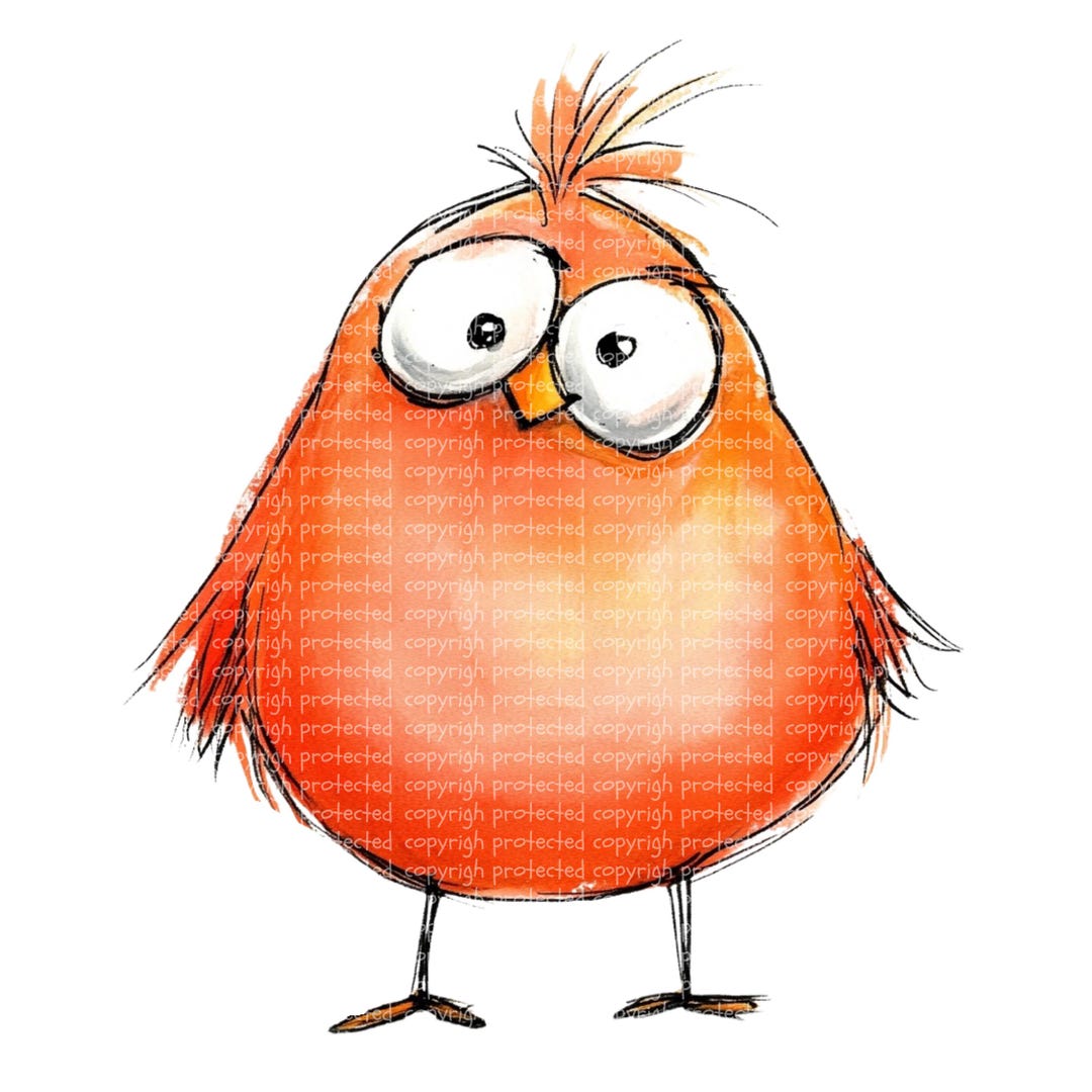 24 Whimsical Fat Birds Clipart –watercolor Cartoon Bird Pngs, Printable ...