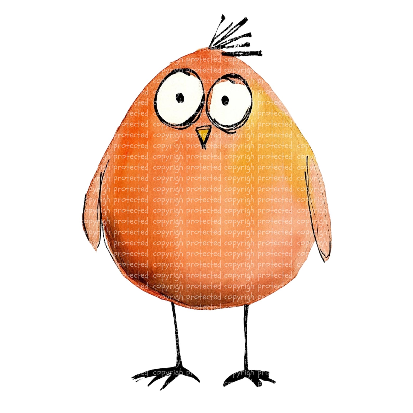 24 Whimsical Fat Birds Clipart –watercolor Cartoon Bird Pngs, Printable ...