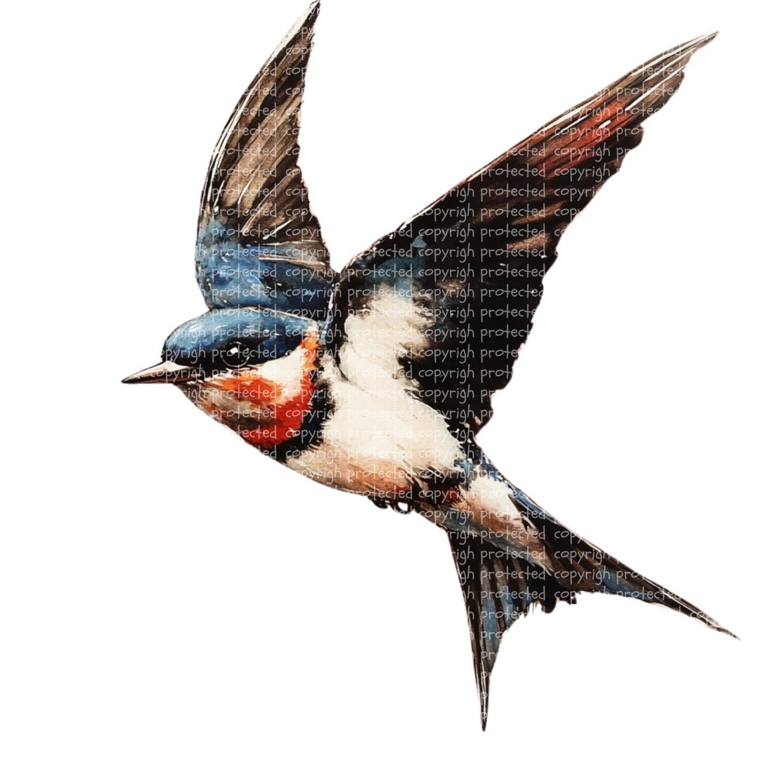 12 Pngs Swallow Bird Clipart – Watercolor Cartoon Bird, Printable ...