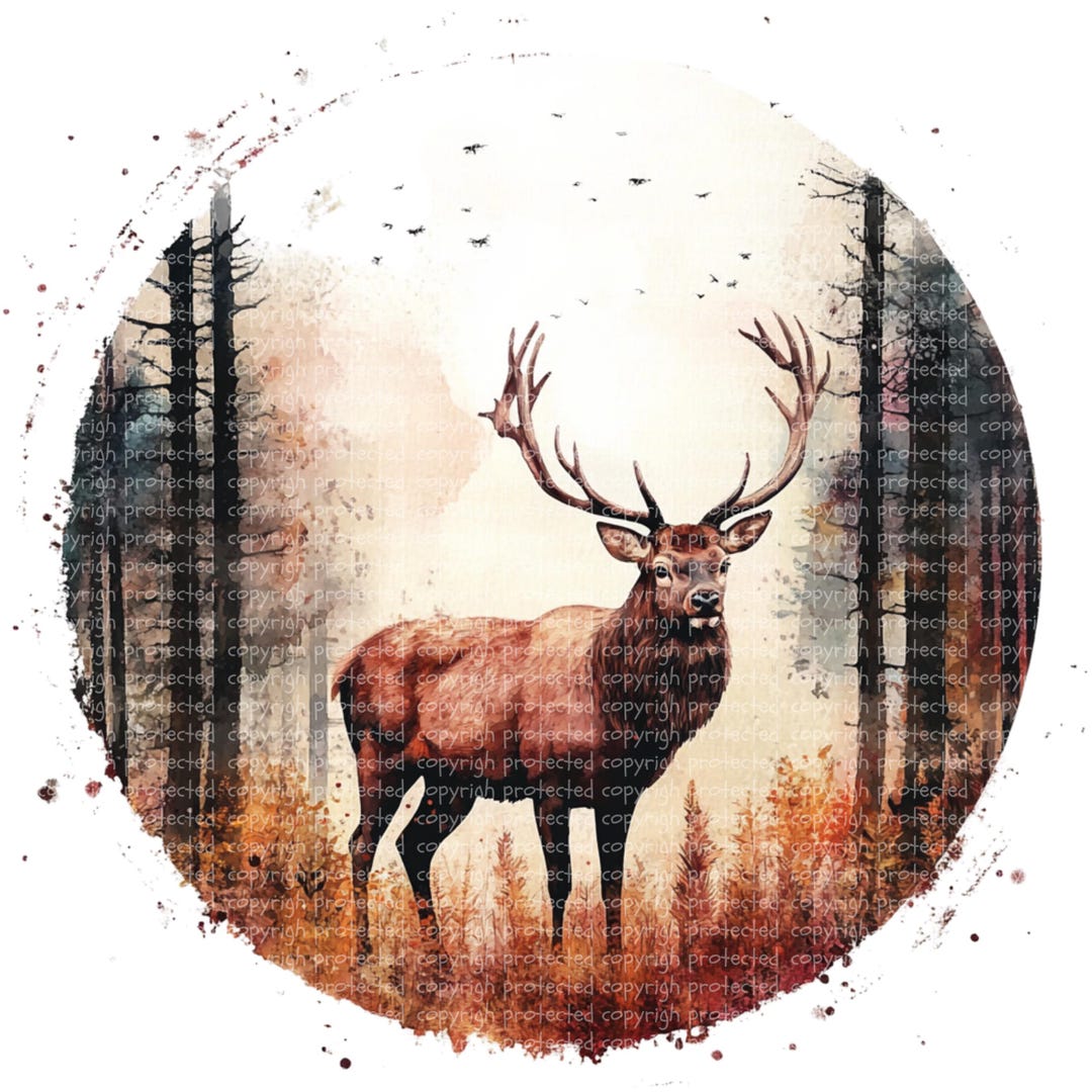 20 Pngs Red Deer Clipart - Watercolor Forest Stag, Woodland Deer Prints ...