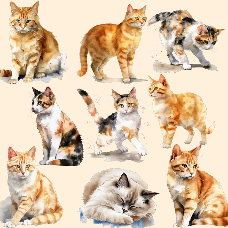Watercolor Cat Clipart | Watercolor Clipart | Cat Clipart | Cats ...