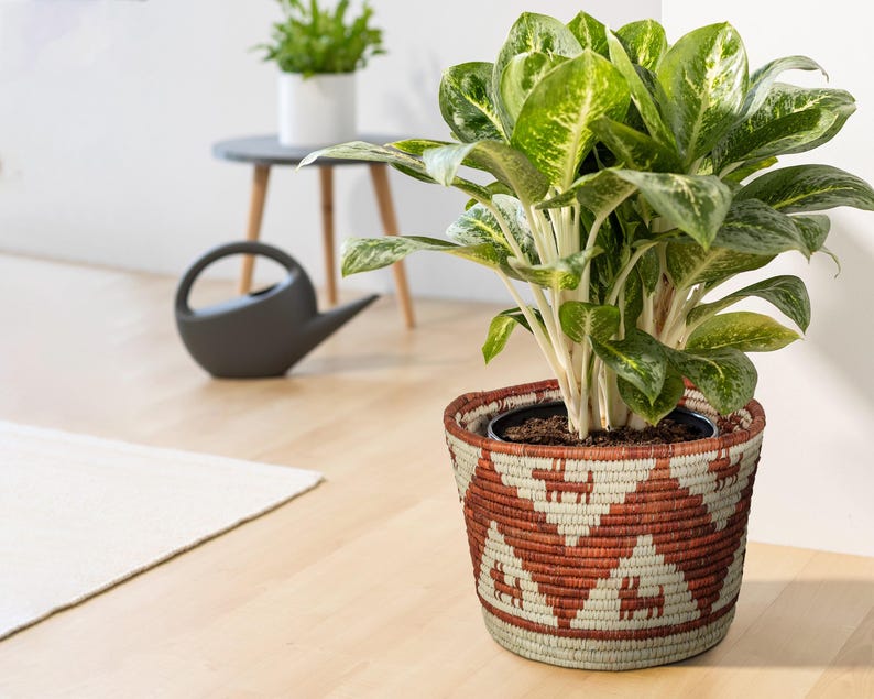 Handwoven Planter Basket, Boho Woven Plant Pot Cover, Natural Indoor ...
