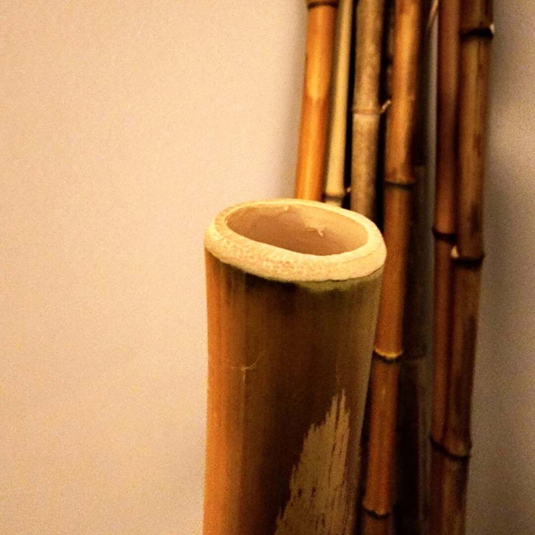 5 Pack Bamboo Poles Flame Cured 1-1.5in Diameter 1-7ft Long Cut to ...