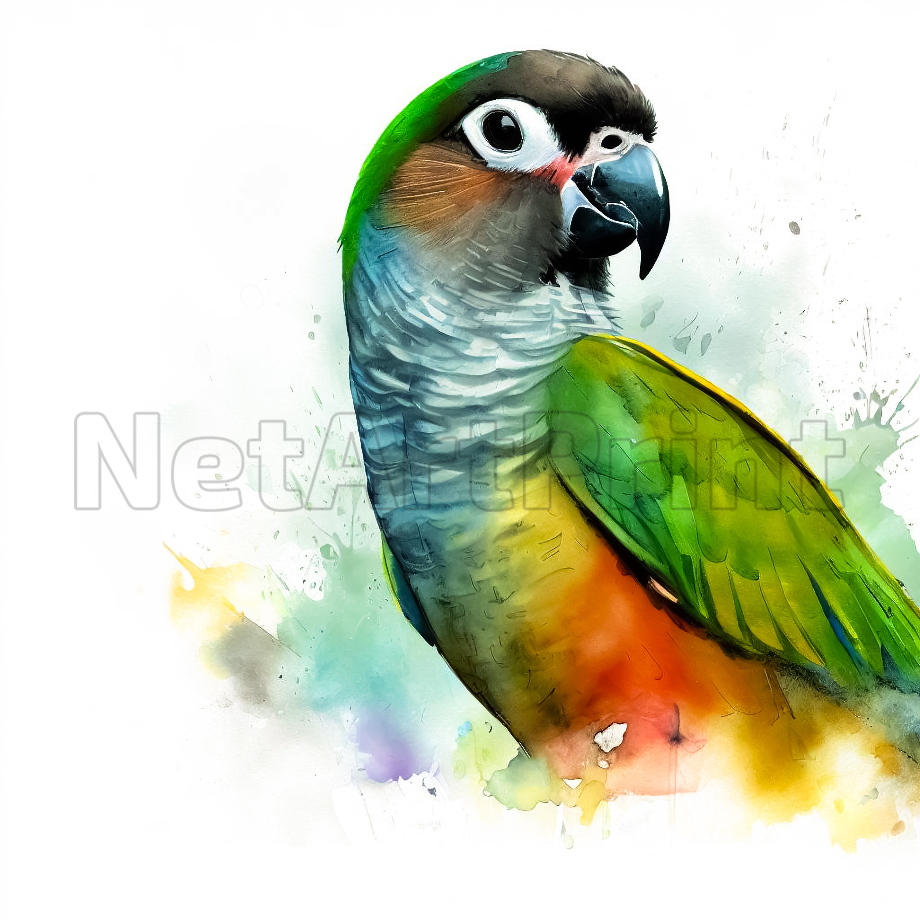 Sun Conure Clipart 30 JPG, Tropical Parrot Portrait in Watercolor Art ...