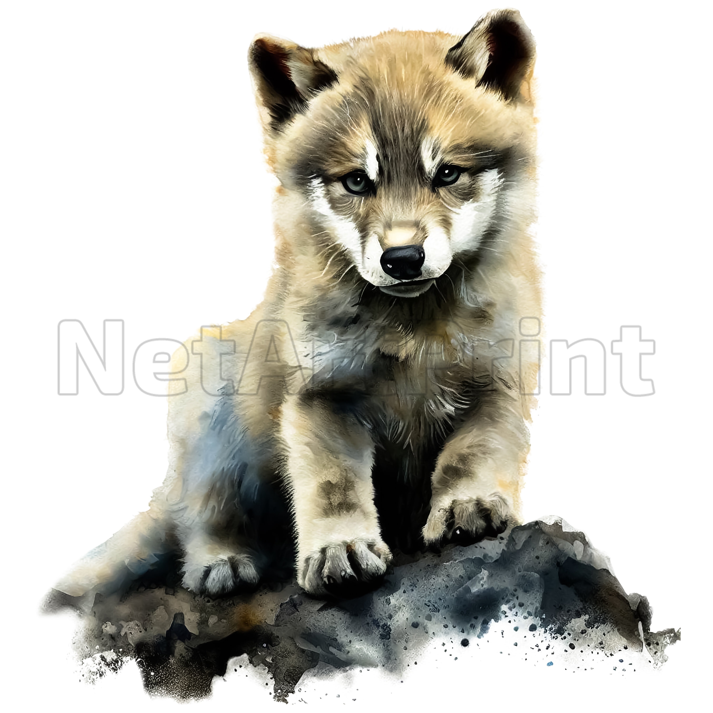 Baby Wolf PNG Clipart Woodland Wolves Watercolor Print, Forest Animals ...