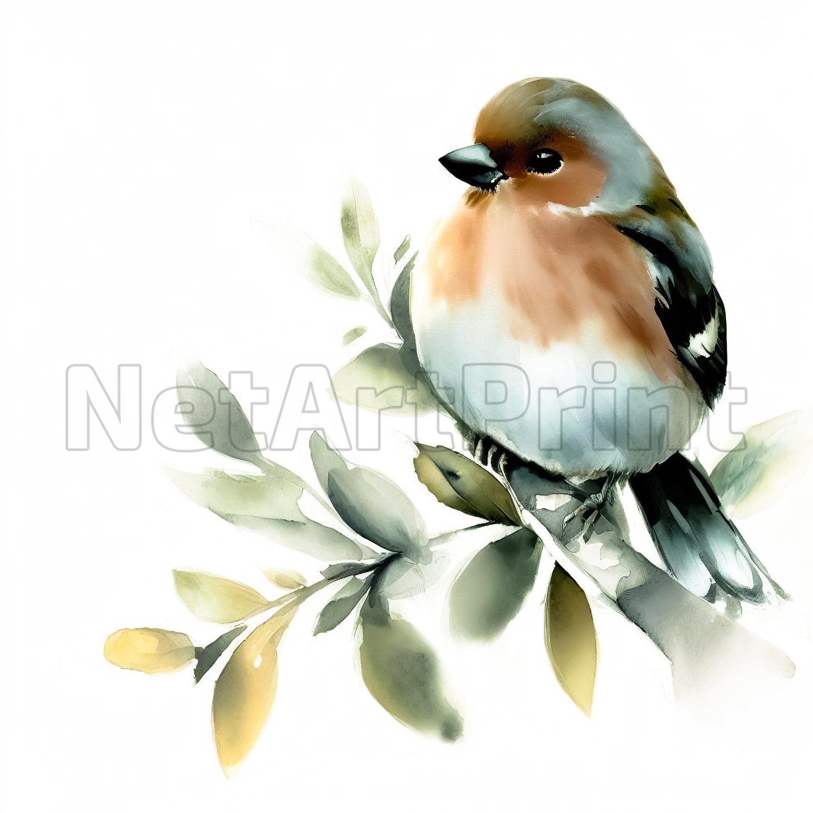 Chaffinch Bird Clipart 30 Jpgs Cute Songbird in Watercolor - Etsy