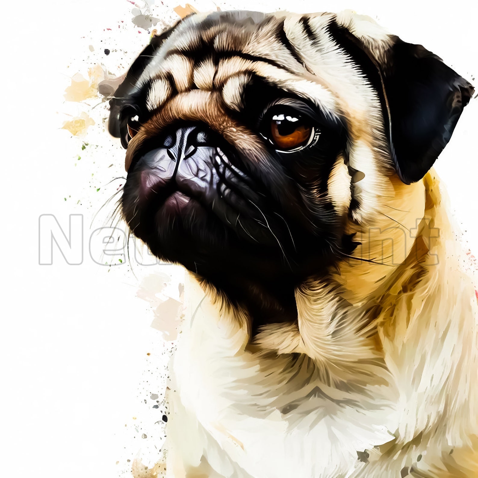 Pug Dog Clipart 25 High Quality JPG Instant Download Card - Etsy