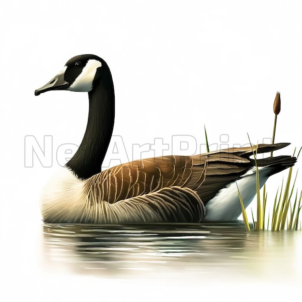 Canadian Goose Clipart - Etsy