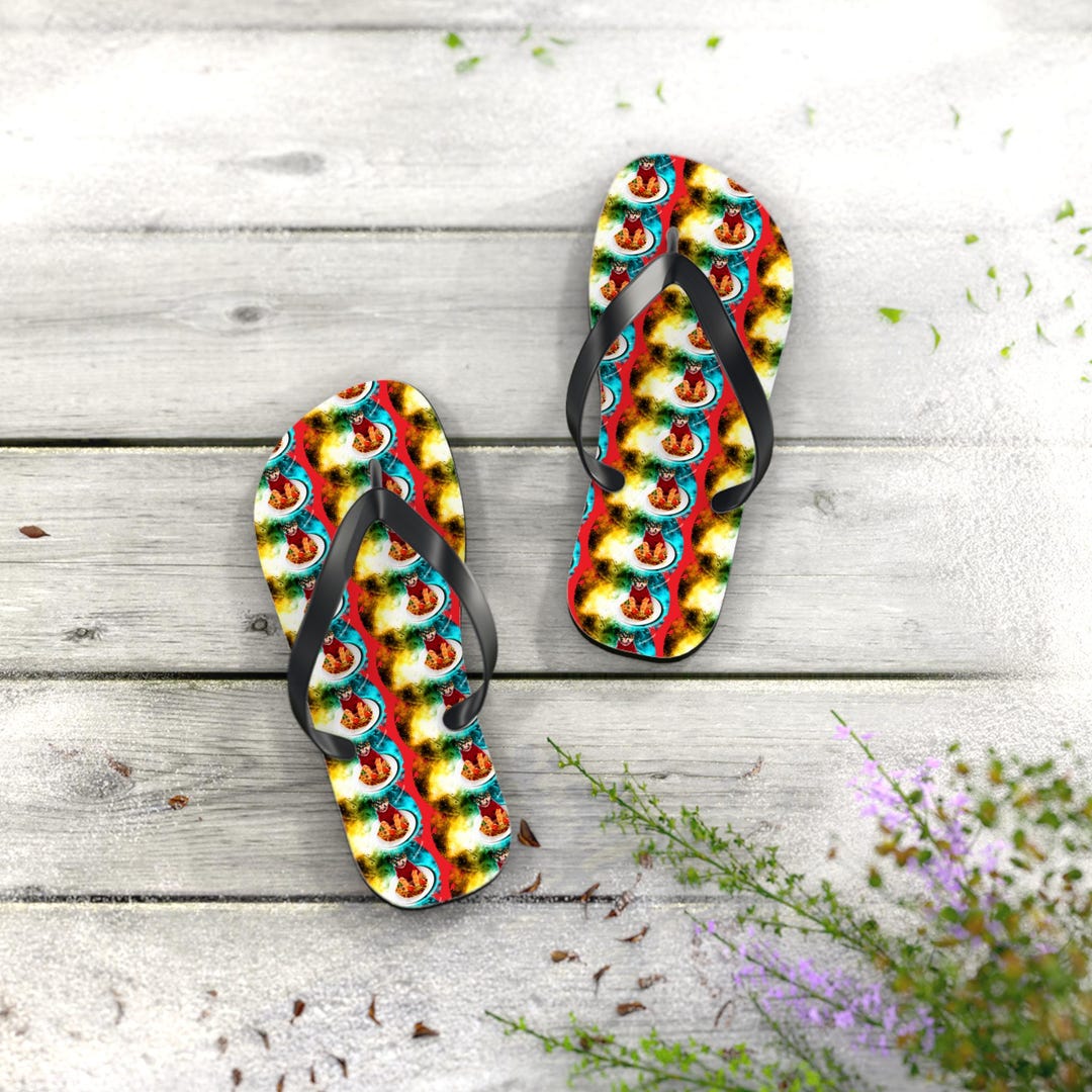 Flip Flops, Galaxy Cat in Outer Space Riding on A Plate of Spaghetti ...