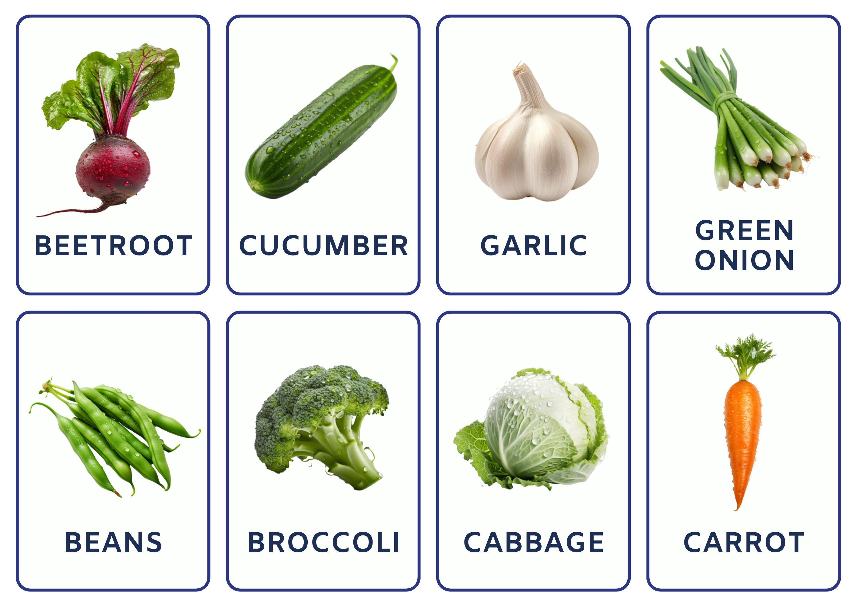 20 Printable Vegetable Names - Free Coloring Pages - Educational ...