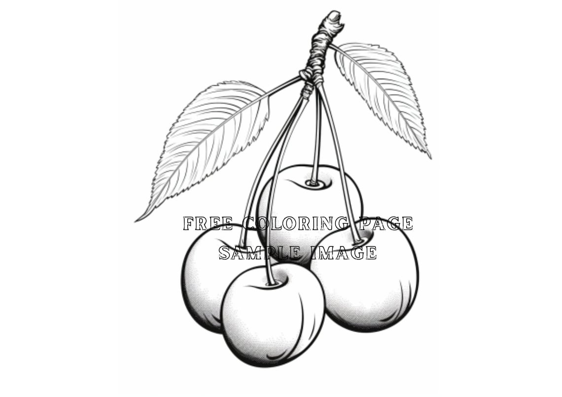 30 Printable Fruit Names - Educational Children Flash Cards - Free ...