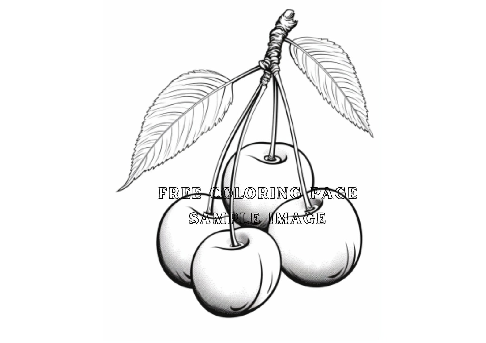 30 Printable Fruit Names - Educational Children Flash Cards - Free ...