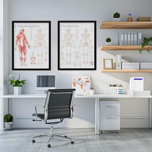 Professional Zoom Virtual Backgrounds Backdrop Doctors Bookcase Home ...