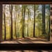 Window to Forest Virtual Background | 5 Zoom Virtual Backgrounds ...