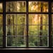 Window to Forest Virtual Background | 5 Zoom Virtual Backgrounds ...
