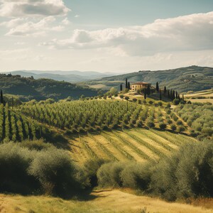 Italy Countryside Virtual Background | 5 Zoom Virtual Backgrounds ...