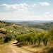 Italy Countryside Virtual Background | 5 Zoom Virtual Backgrounds ...