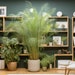 Botanical Office Virtual Background | 4 Zoom Virtual Backgrounds ...