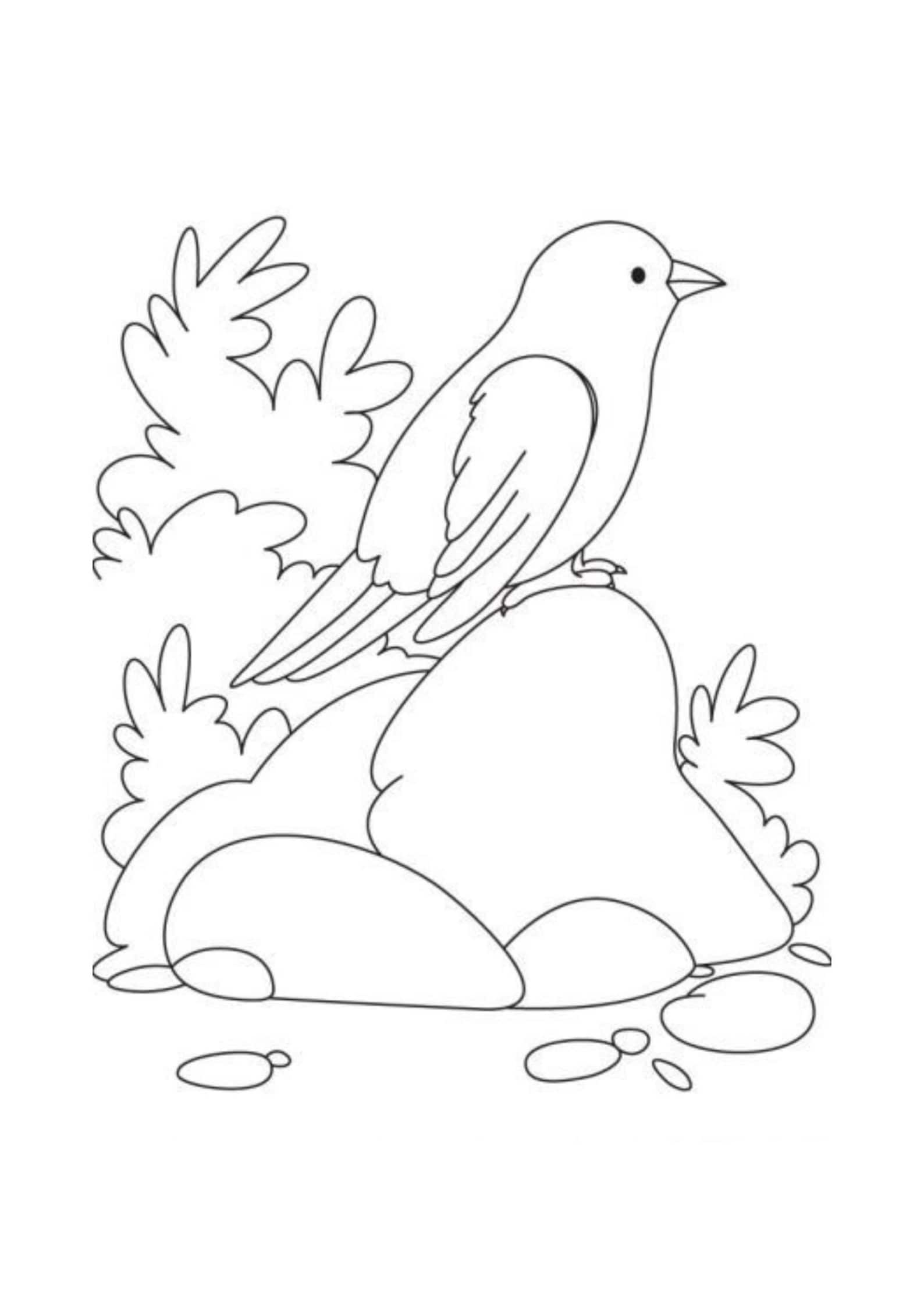 Pre School Bird Coloring Page for Preschool Kids - Fun & Engaging ...