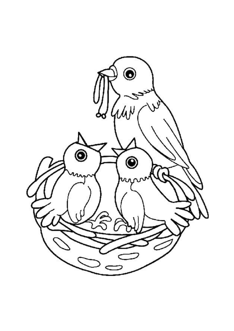 Pre School Bird Coloring Page for Preschool Kids - Fun & Engaging ...