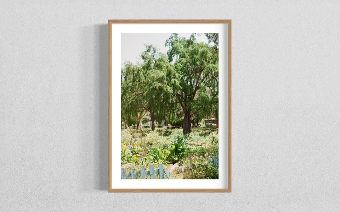 Israel Print - Kibbutz Ein Dor - Etsy