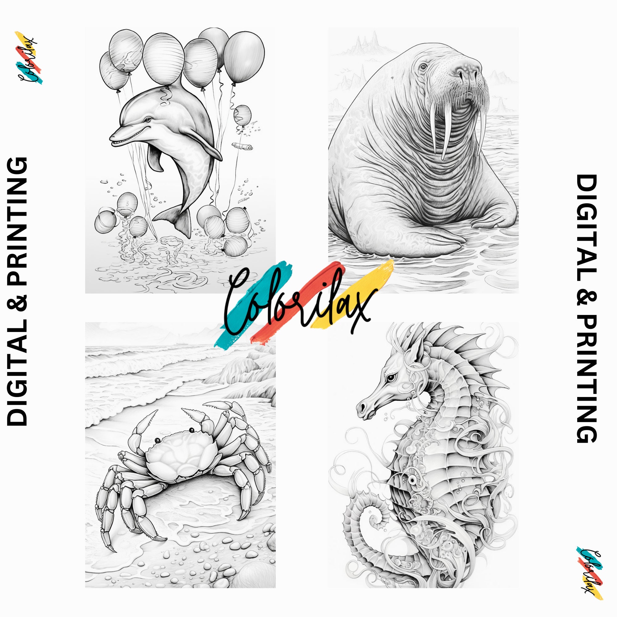 50 Sea Life Coloring Book Adults Instant Download grayscale - Etsy