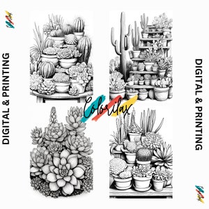 50 Floral Cactus & Succulent, Floral Cactus Coloring Book for Adults ...
