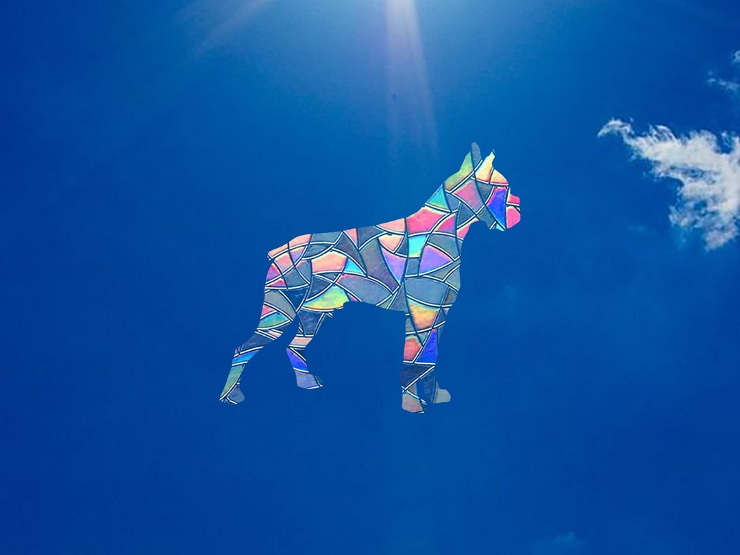 Boxer Dog Suncatcher Sticker – Rainbow Window Cling - Etsy