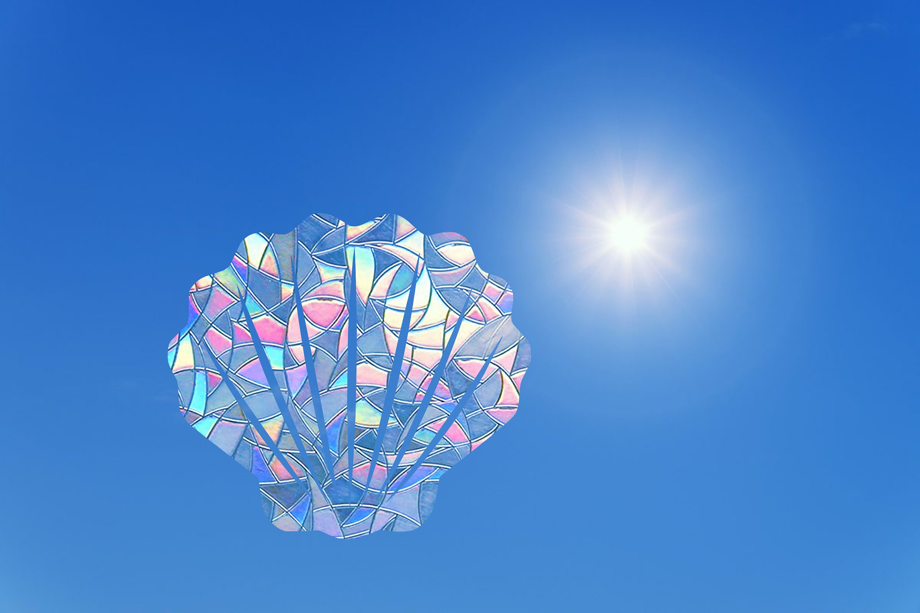 Seashell Suncatcher Sticker Window Decal Sea Shell Sun - Etsy
