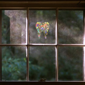 Tooth Suncatcher Sticker Window Decal | Teeth Artwork Wall Art Ornament ...